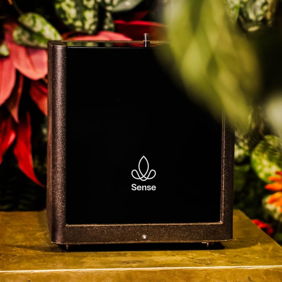 Transform your space with scent | Sense Company
